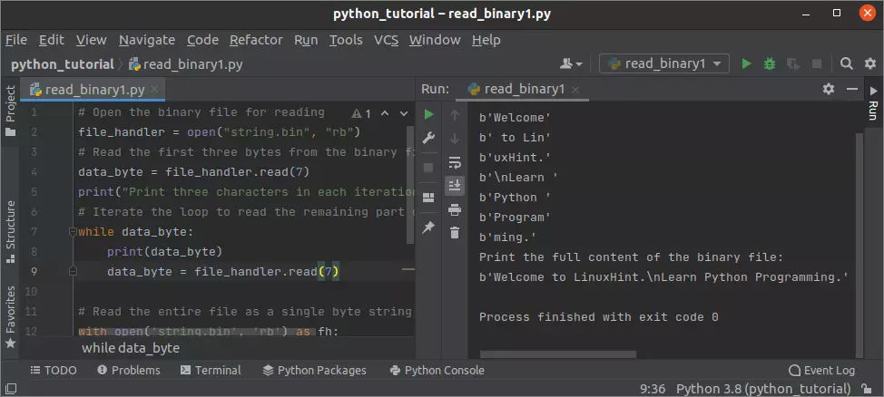 Hoe om binêre lêers in Python te lees 11317_1