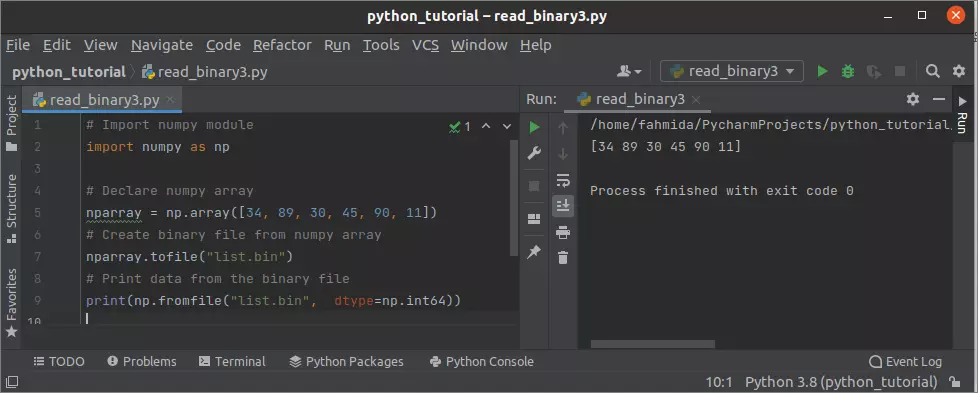 Python дээр хоёртын файлуудыг хэрхэн унших вэ 11317_3