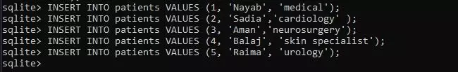 SQLite Yana aiwatar da Bayanan SQL Daga Fayil 1141_3