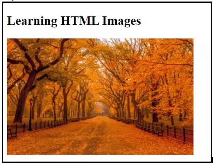 HTML ಚಿತ್ರಗಳು 11498_1