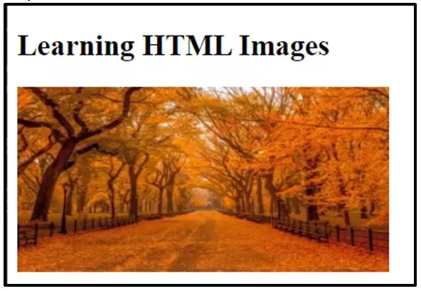 HTML ಚಿತ್ರಗಳು 11498_4