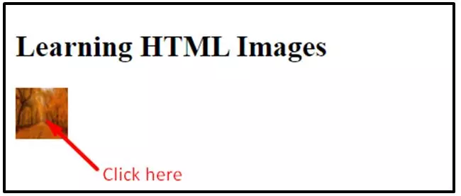 HTML ಚಿತ್ರಗಳು 11498_8
