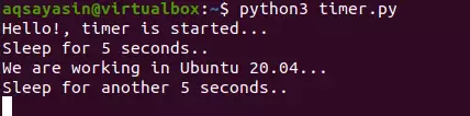 I-Timer Python 11574_6
