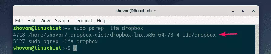 Debian 10 жүйесінде Dropbox орнату 11600_24