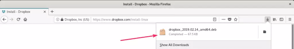 Debian 10 жүйесінде Dropbox орнату 11600_3