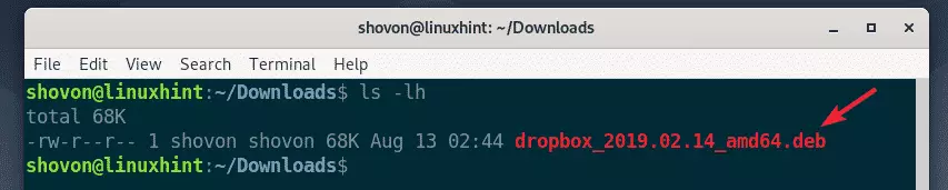 Debian 10에 Dropbox 설치 11600_5