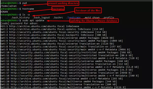 Giunsa Pag-enable ang WSL Optional Component alang sa Linux 11620_14