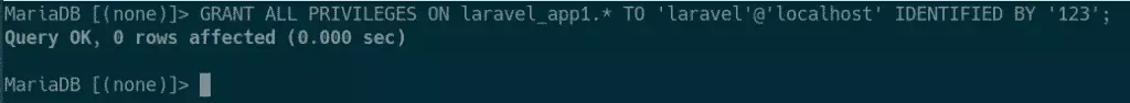 Einrichten der Laravel-Entwicklungsumgebung unter Debian 10 11775_22