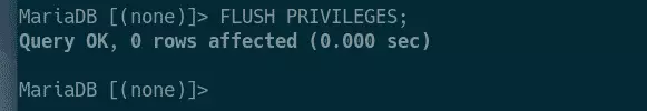Einrichten der Laravel-Entwicklungsumgebung unter Debian 10 11775_23