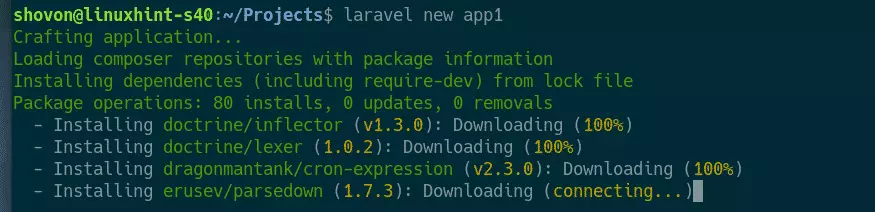 Debian 10 жүйесінде Laravel әзірлеу ортасын орнату 11775_38