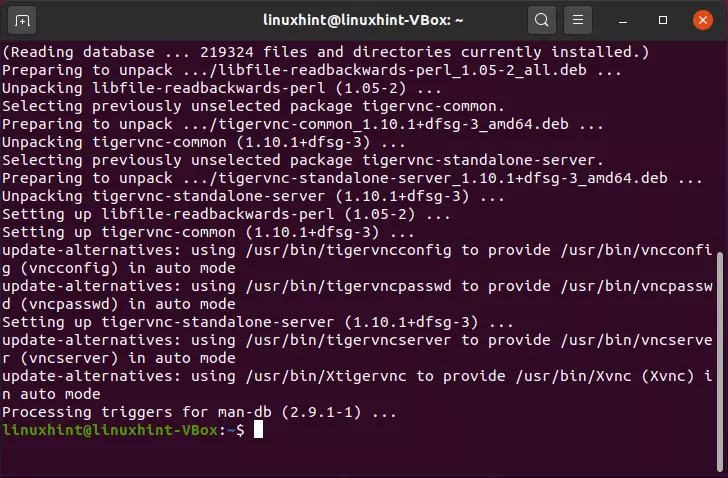 Nigute ushobora gushiraho no gushiraho VNC kuri Ubuntu 11808_8