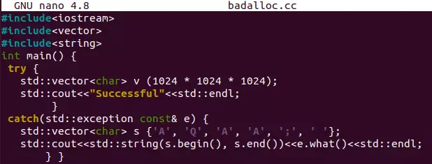 Bad ++ Аллокны C ++ ничек кулланырга 11915_6