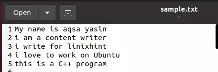 C ++ -da tötänleýin giriş faýllary 11923_8