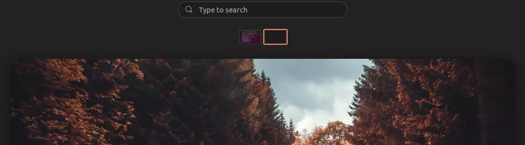 Hoe de Ubuntu-werkruimte te gebruiken 1195_3