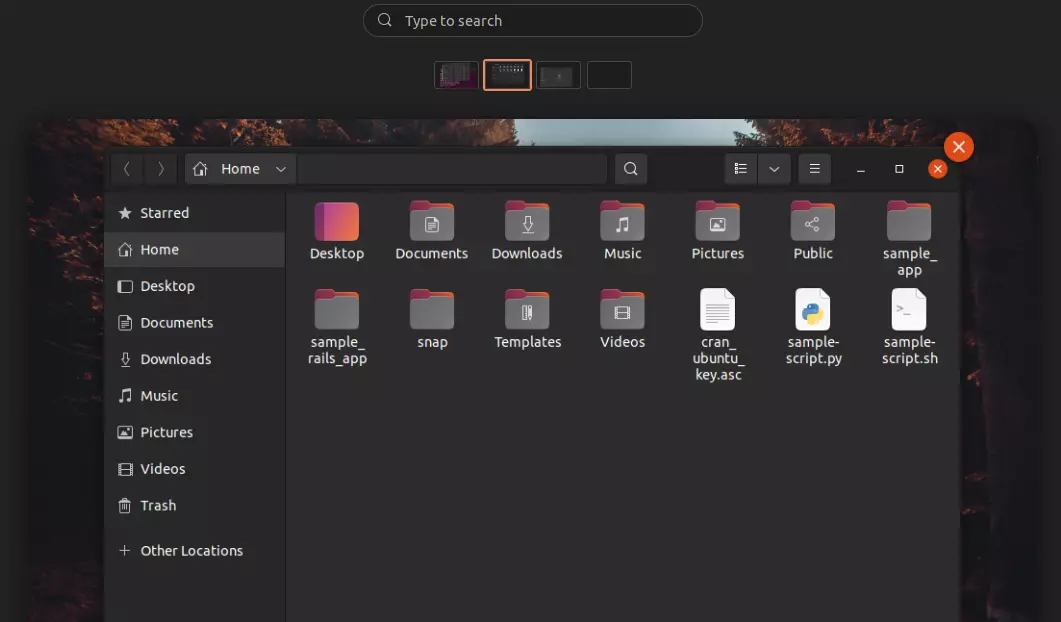 Ubuntu कार्यस्थान कसरी प्रयोग गर्ने 1195_5