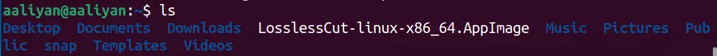 Si të instaloni LosslessCut në Ubuntu 22.04 12019_2