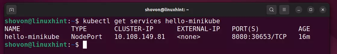 Nruab Minikube ntawm Ubuntu 22.04 LTS 1201_62