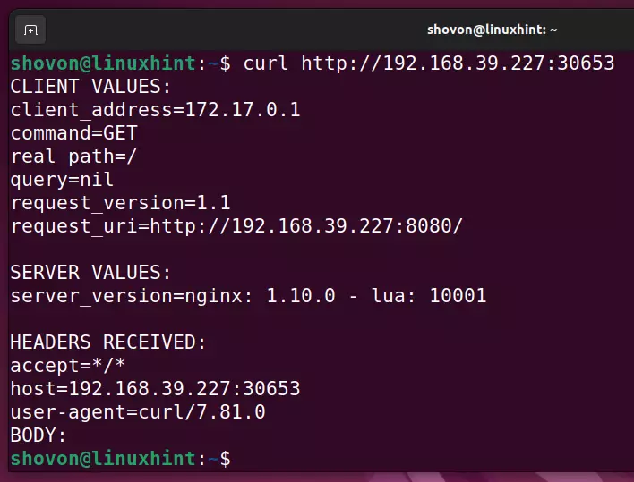 Faʻapipiʻi le Minikube ile Ubuntu 22.04 LTS 1201_65