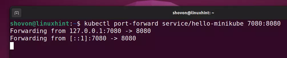 Faʻapipiʻi le Minikube ile Ubuntu 22.04 LTS 1201_66