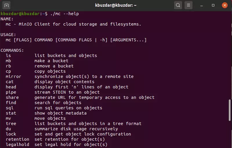 Instalați Minio pe Ubuntu 20.04 12087_9