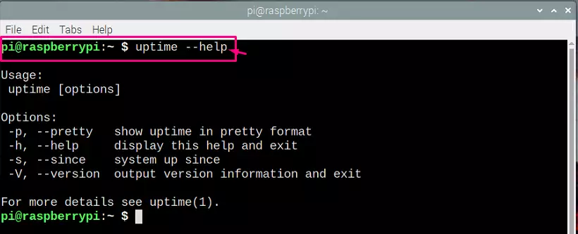 Top Command kanggo Informasi Hardware Raspberry Pi 12097_9