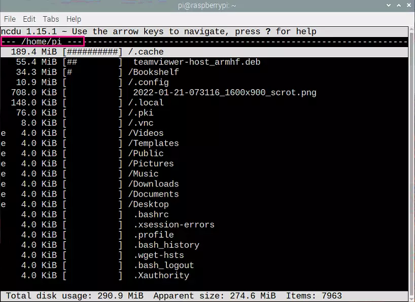 Як прааналізаваць сховішча на Raspberry Pi 4 12103_6