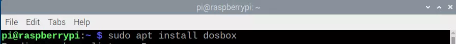 Raspberry Pi غا Wolfenstein 3D نى قانداق ئورنىتىش كېرەك 12105_1