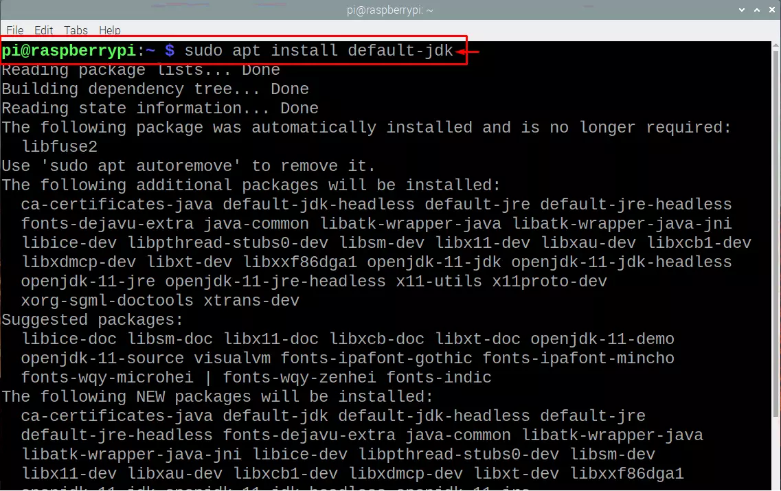 Как установить Майнкрафт на Raspberry Pi 12106_12