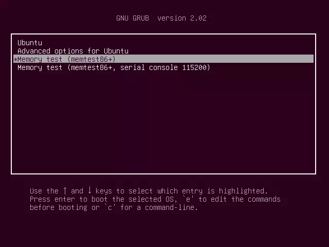 Hvordan sjekke RAM-en din på Ubuntu 12161_15