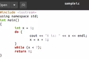 C++ லூப் செய்யும் போது செய்யுங்கள் 12195_1