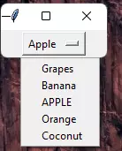 Tkinter OptionMenu 12202_2