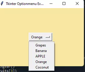 Tkinter OptionMenu 12202_4