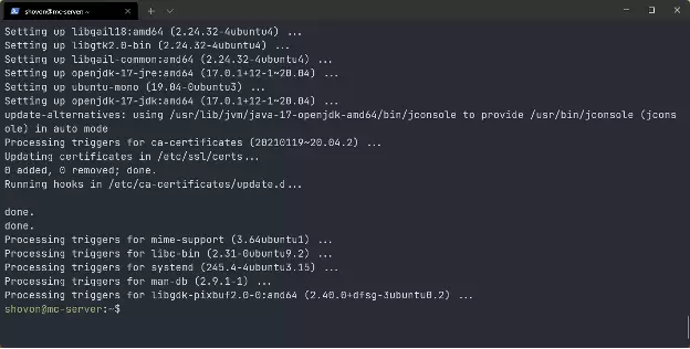 Kuidas majutada Synology NAS-is Minecrafti serveri virtuaalmasinat? 1224_48