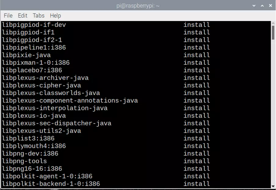 Giunsa Paglista ang Mga Na-install nga Mga Pakete sa Raspberry Pi OS 12325_4