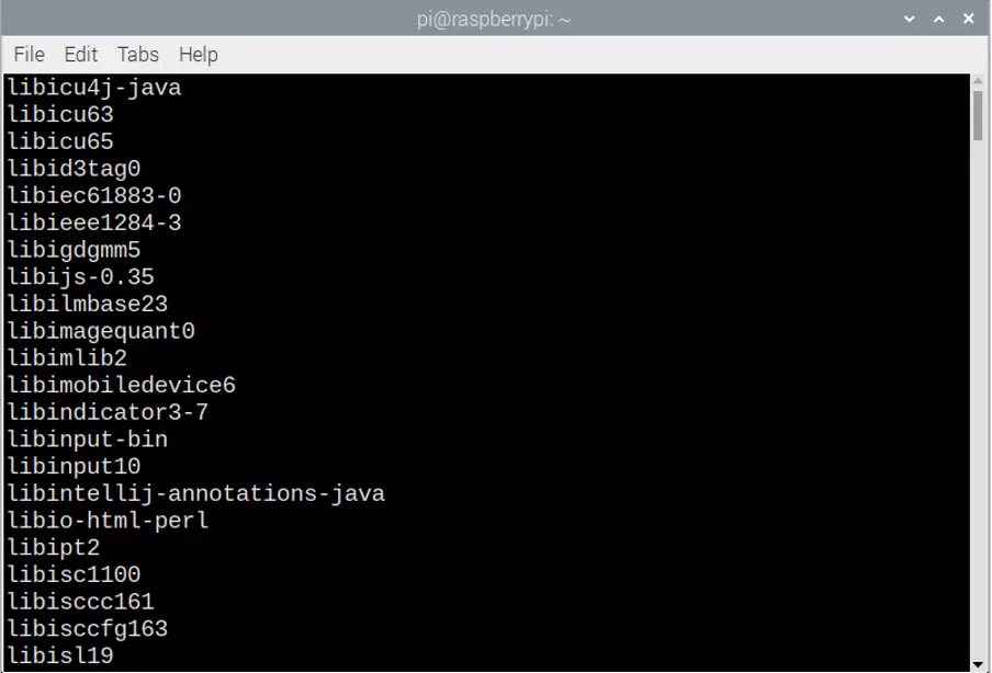Giunsa Paglista ang Mga Na-install nga Mga Pakete sa Raspberry Pi OS 12325_6