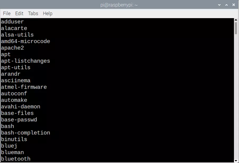 Raspberry Pi OS قا قاچىلانغان بوغچىلارنى قانداق تىزىش كېرەك 12325_8