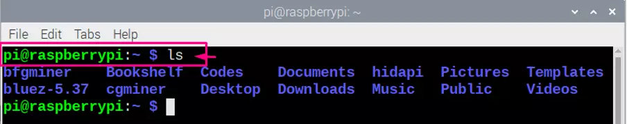 Ndhuwur 10 Prentah Dasar Raspberry Pi OS 12333_6