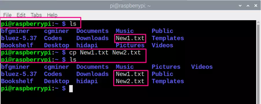 Ndhuwur 10 Prentah Dasar Raspberry Pi OS 12333_9