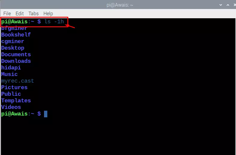 റാസ്ബെറി പൈയിൽ ഫയലുകൾ ലിസ്റ്റ് ചെയ്യാനുള്ള കമാൻഡ് 12339_10