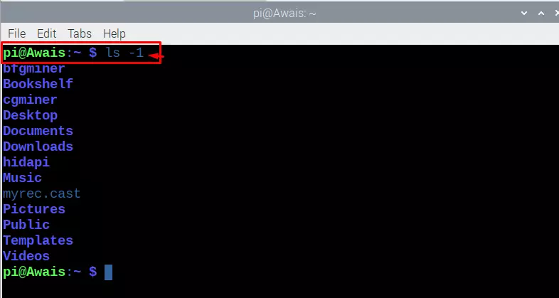 റാസ്ബെറി പൈയിൽ ഫയലുകൾ ലിസ്റ്റ് ചെയ്യാനുള്ള കമാൻഡ് 12339_8