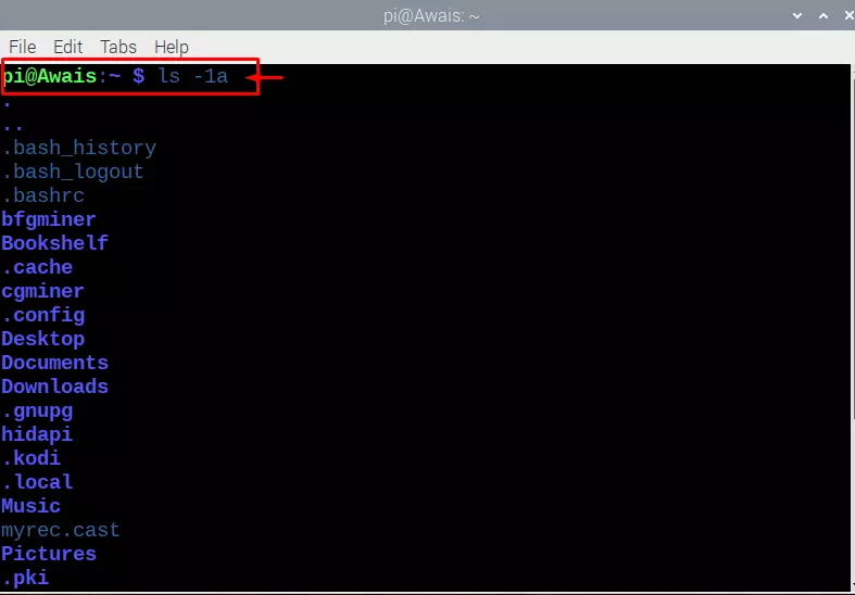 Perintah untuk Mendaftar File di Raspberry Pi 12339_9