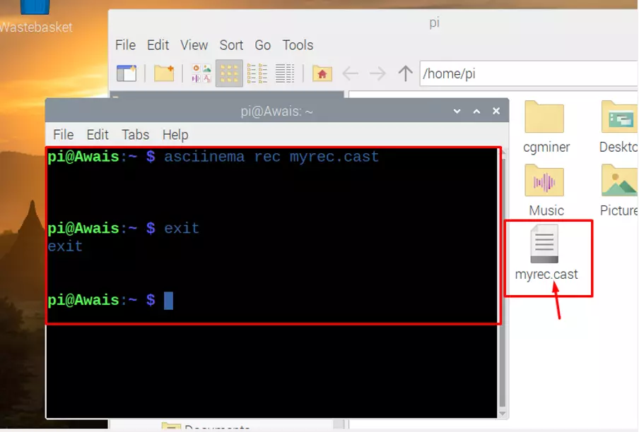 Najboljši snemalnik zaslona na Raspberry Pi 12343_11