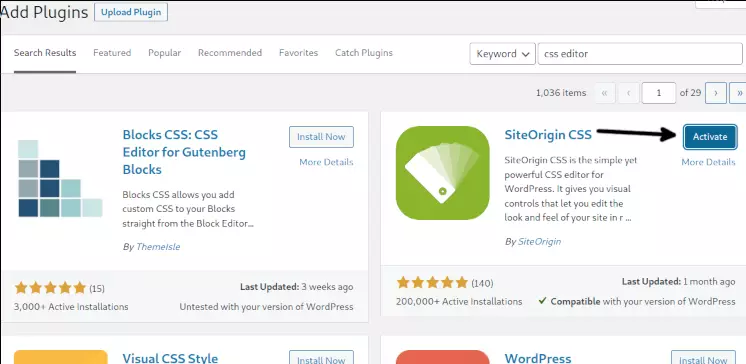 Bii o ṣe le ṣatunkọ WordPress CSS 1239_9