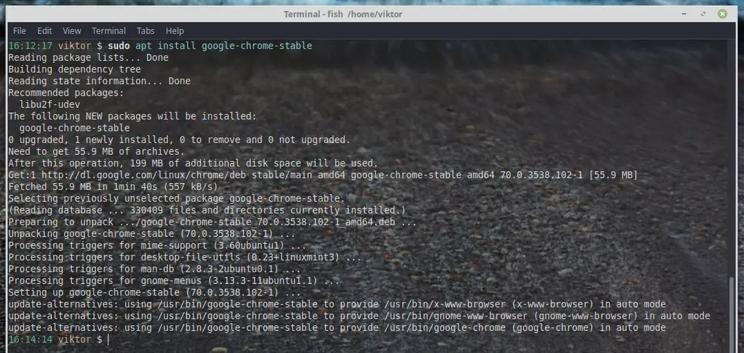 Ubuntu PPA ನಿಂದ Google Chrome ಅನ್ನು ಸ್ಥಾಪಿಸಿ 12421_4