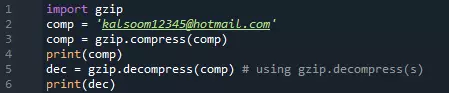 Python Gzip Function Decompress 12472_3
