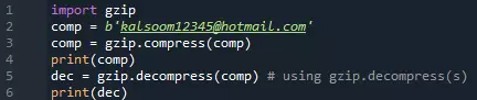 पाइथन Gzip डिकम्प्रेस प्रकार्य 12472_5