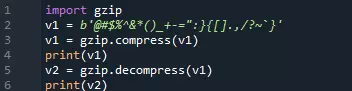 Python Gzip Decompress Function 12472_7