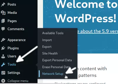 Come faccio a creare un sito multiutente in WordPress? 1251_10