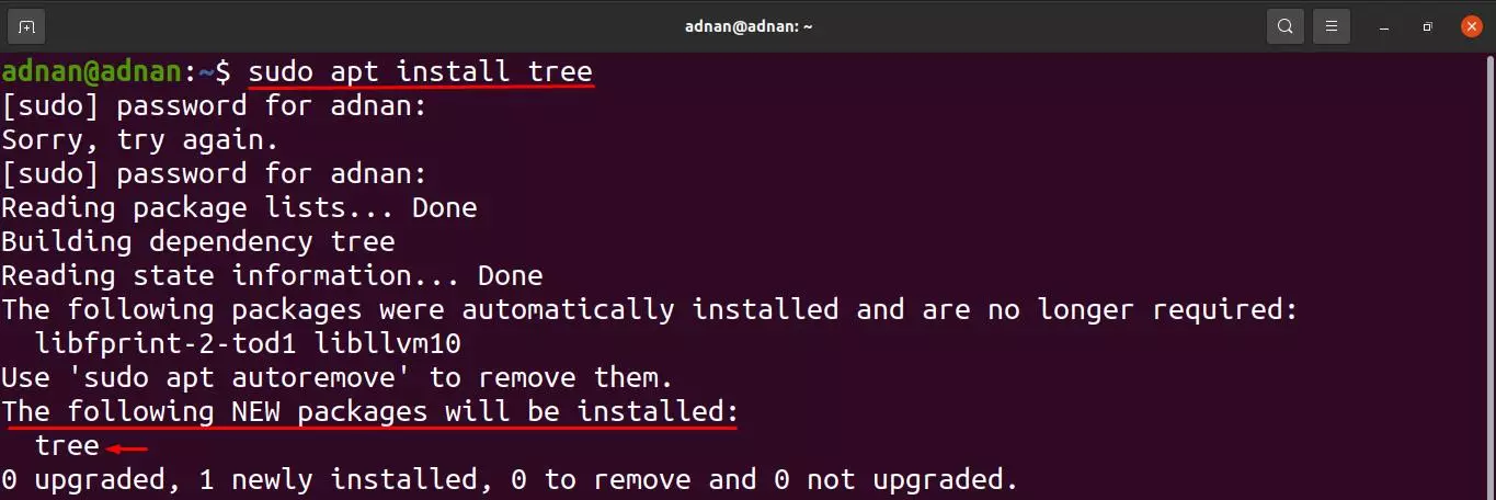 Kodi Tree Command ku Ubuntu ndi chiyani? 12557_1