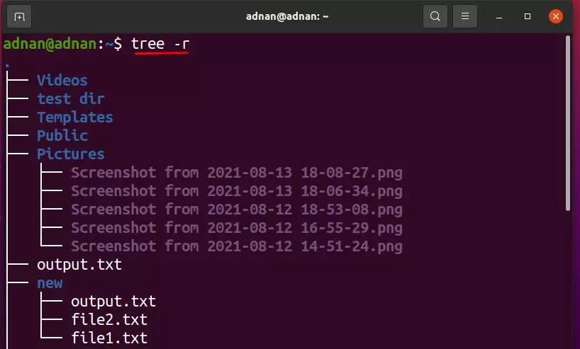 Ubuntuдо Tree Command деген эмне 12557_22